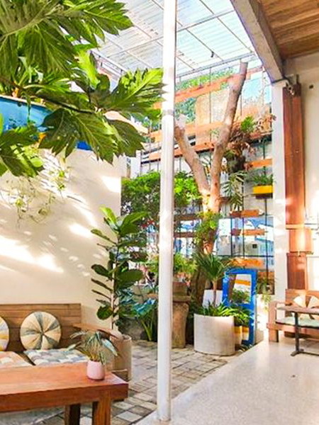 Con Dao Travel Guide | Vietnam Is Awesome | 2024