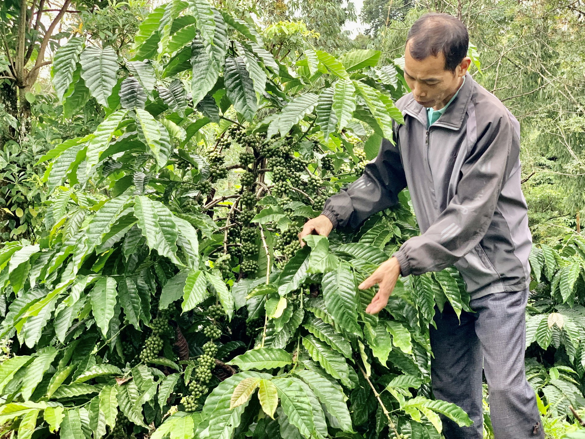 Coffee In Vietnam | Savoring Cultural Delights & Beyond – Contributed ...