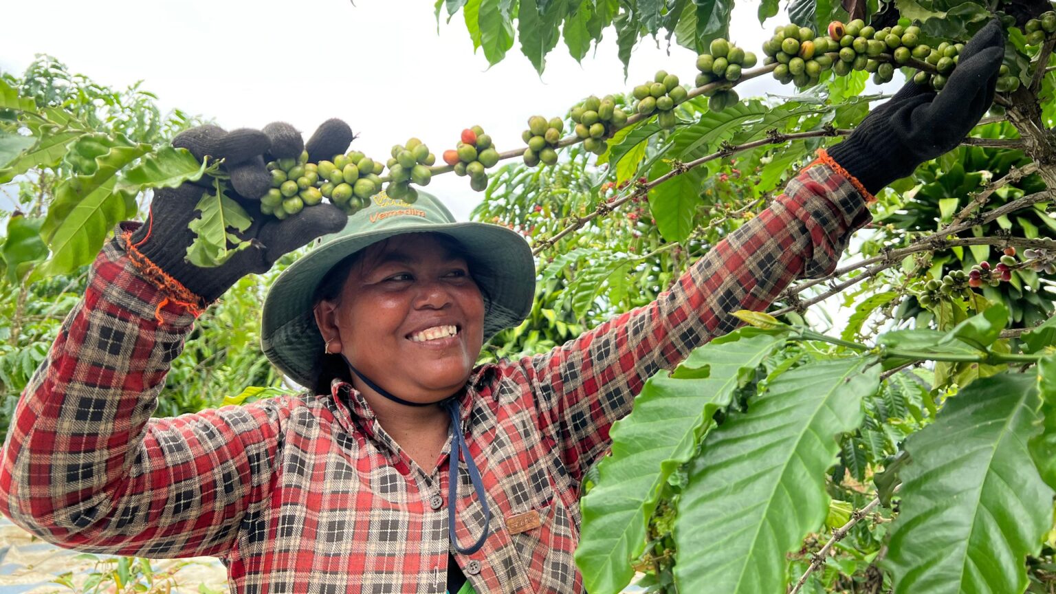 Coffee In Vietnam | Savoring Cultural Delights & Beyond – Contributed ...