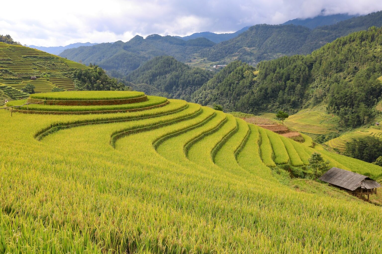 Your Guide To Mu Cang Chai - Beyond The Rice Fields 2025 - Vietnam Is ...