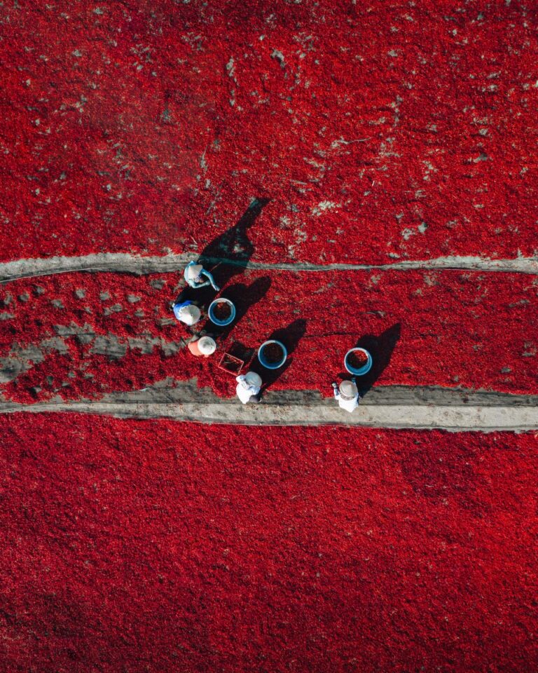 Central Vietnam Guide: 7 Must-Visit Destinations Await! - Vietnam Is ...