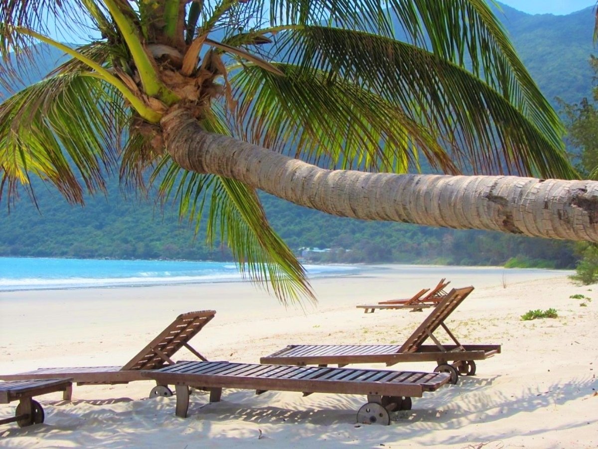 Exploring Con Dao Island Beaches: A Guide to Vietnam's Hidden Paradise ...